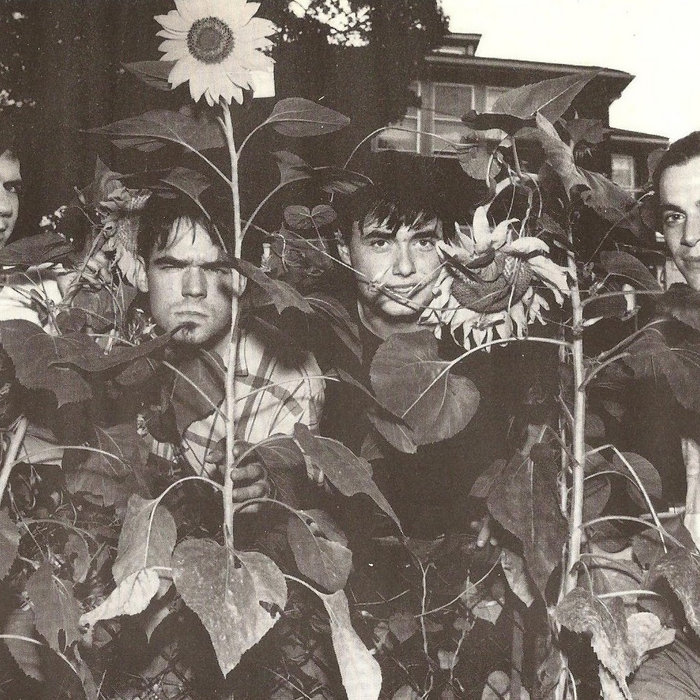 Live on WMBR - September 1990 | Bulkhead