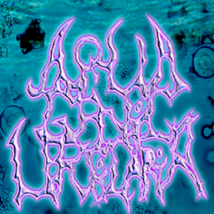 Ocean Parasites Ep | Aquagenic Urticaria | The Butcher Shop