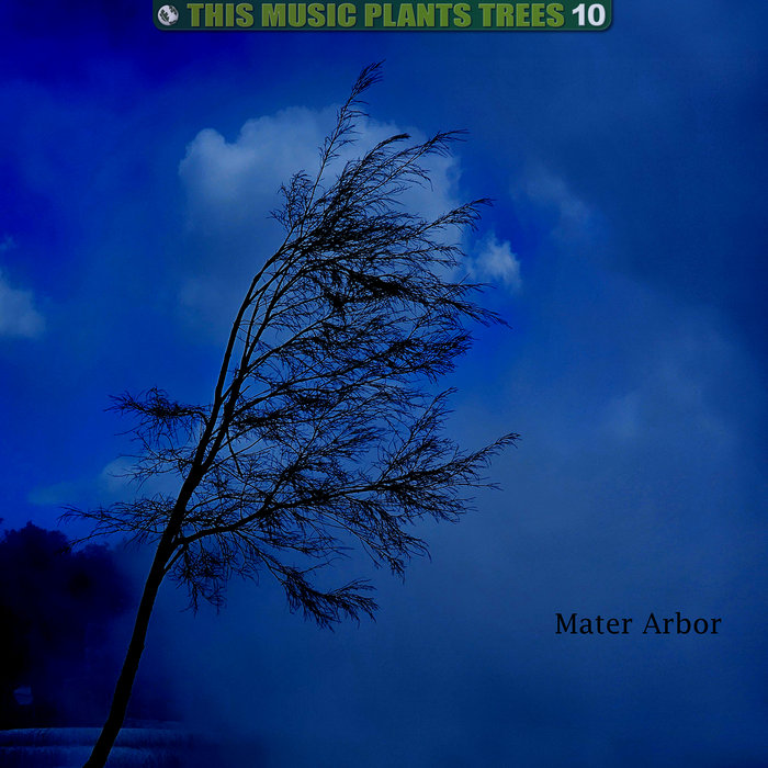 Mater Arbor | Somnarium (Michael Meara) | This Music Plants Trees