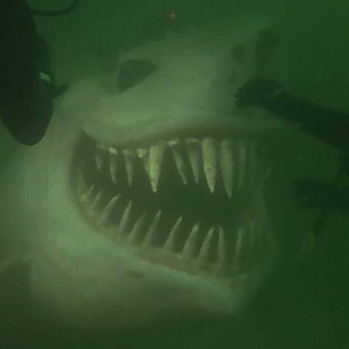 Submechanophobia | stibium