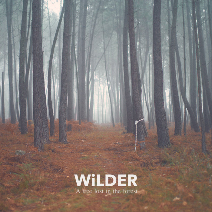 A tree lost in the forest | Wilder