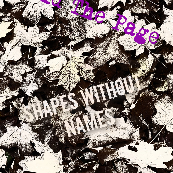 Shapes Without Names | Disjointed David