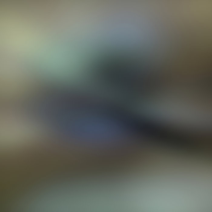 The Binary | Ernest Yakovlev