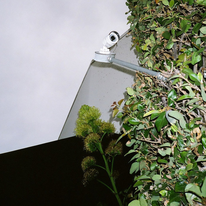 Ennui Divine | Christian Michael Filardo | _phinery (catalogue)