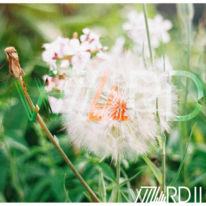 Wizard 2 | Castles Full of Vassals