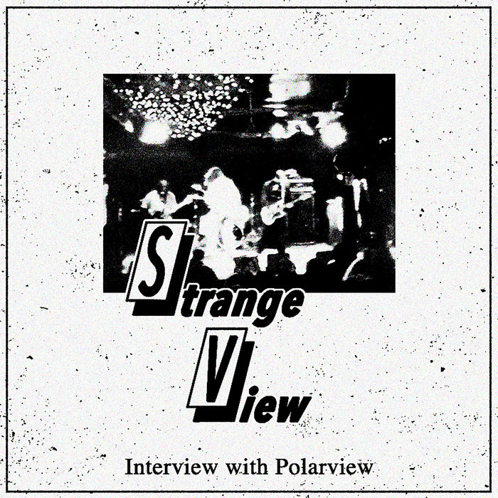 Interview with Polarview | Strange View Records