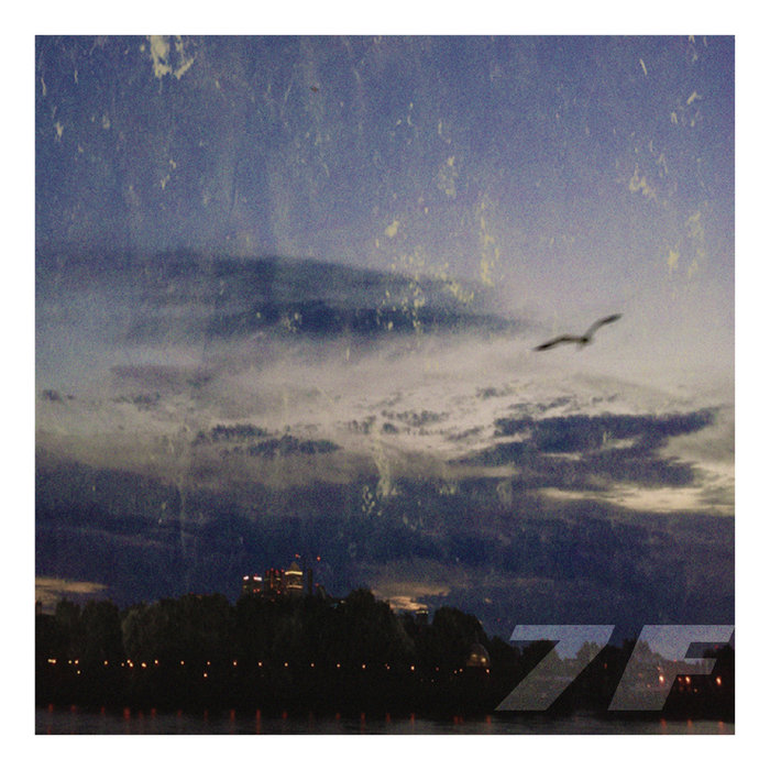 Backward Gull | Seven Frames | em―