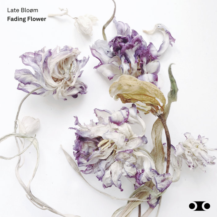 Fading Flower | Simon Spiess