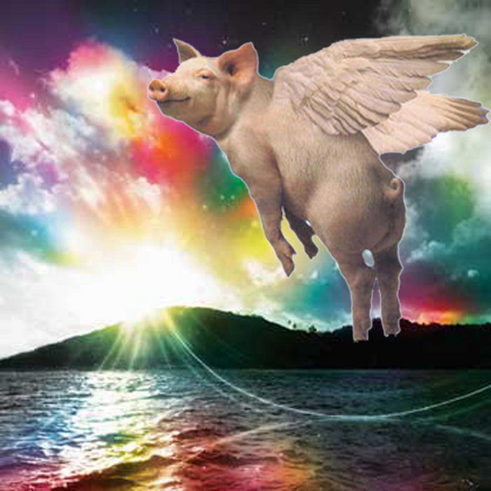 If pigs could fly | The Southern Halos | MarsMelons