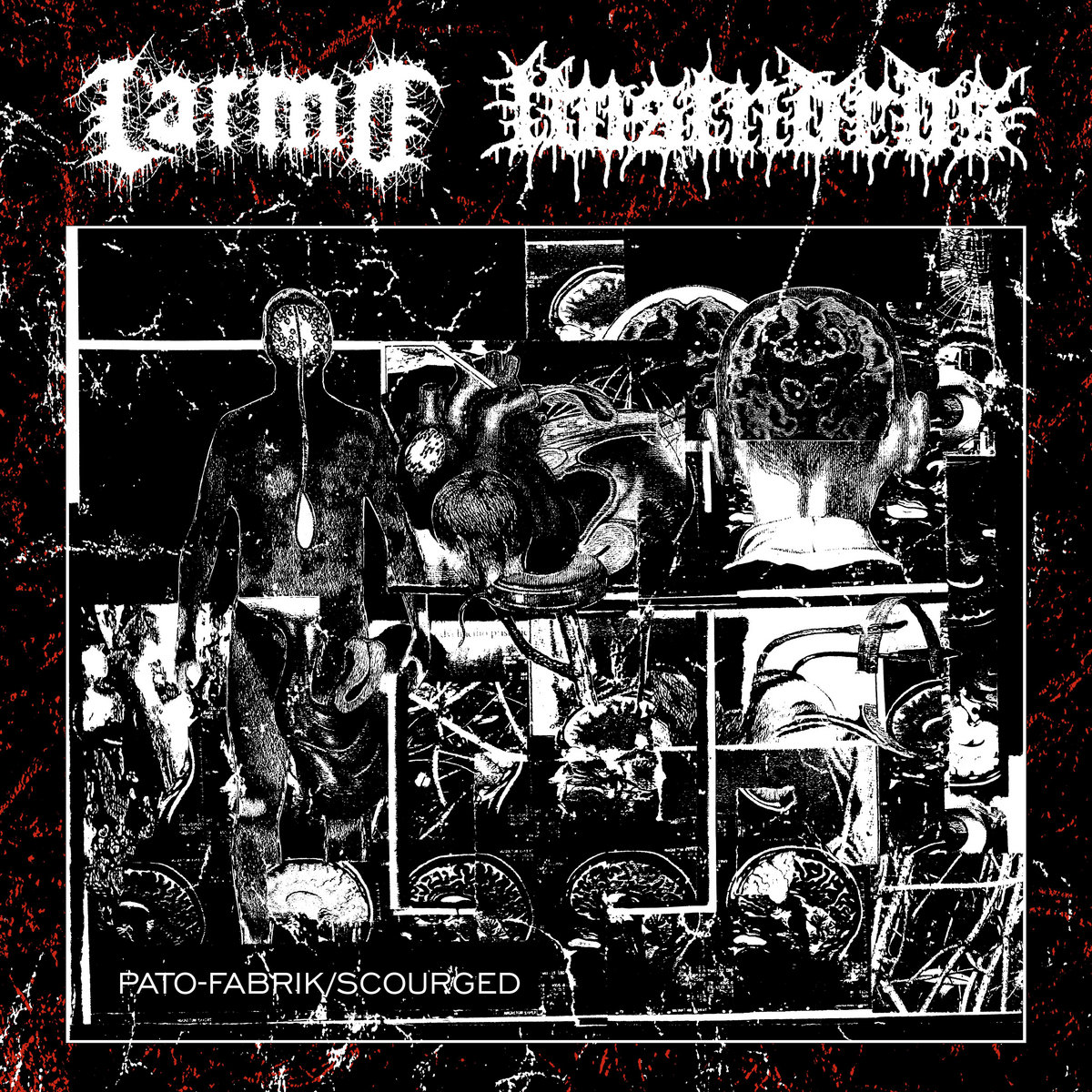 LARMO // LWSTNDRDS | LWSTNDRDS