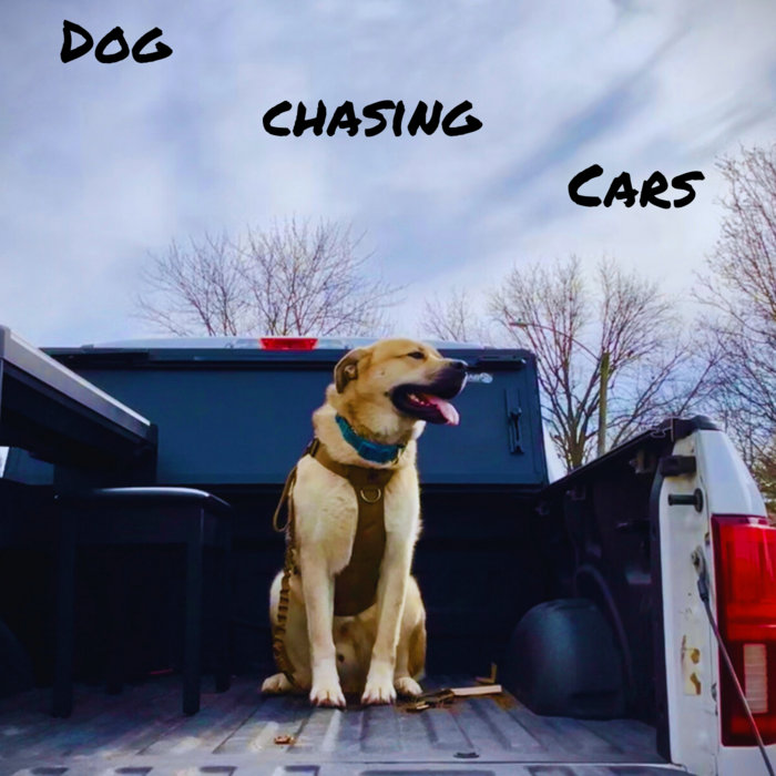Dog Chasing Cars | Lou Scott Keyes