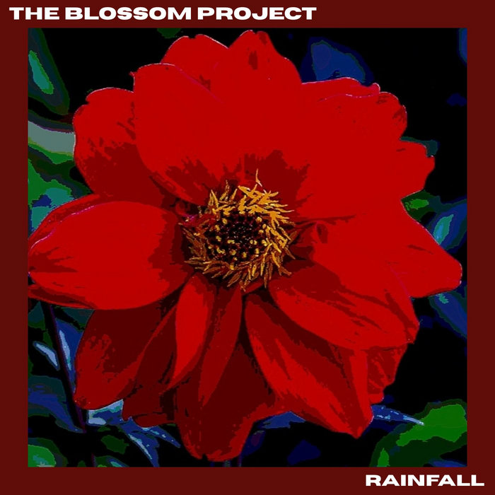 Rainfall | The Blossom Project