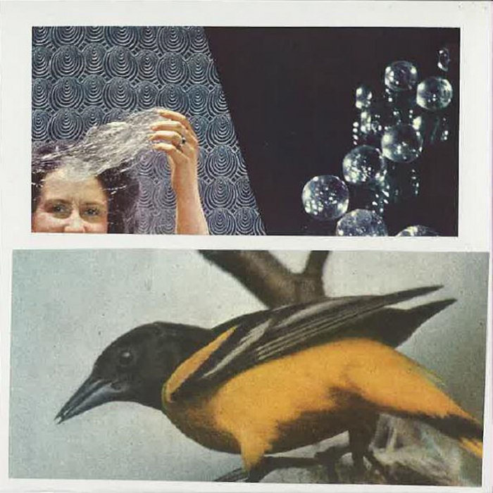 Glass Birds EP | The Dipper Stove