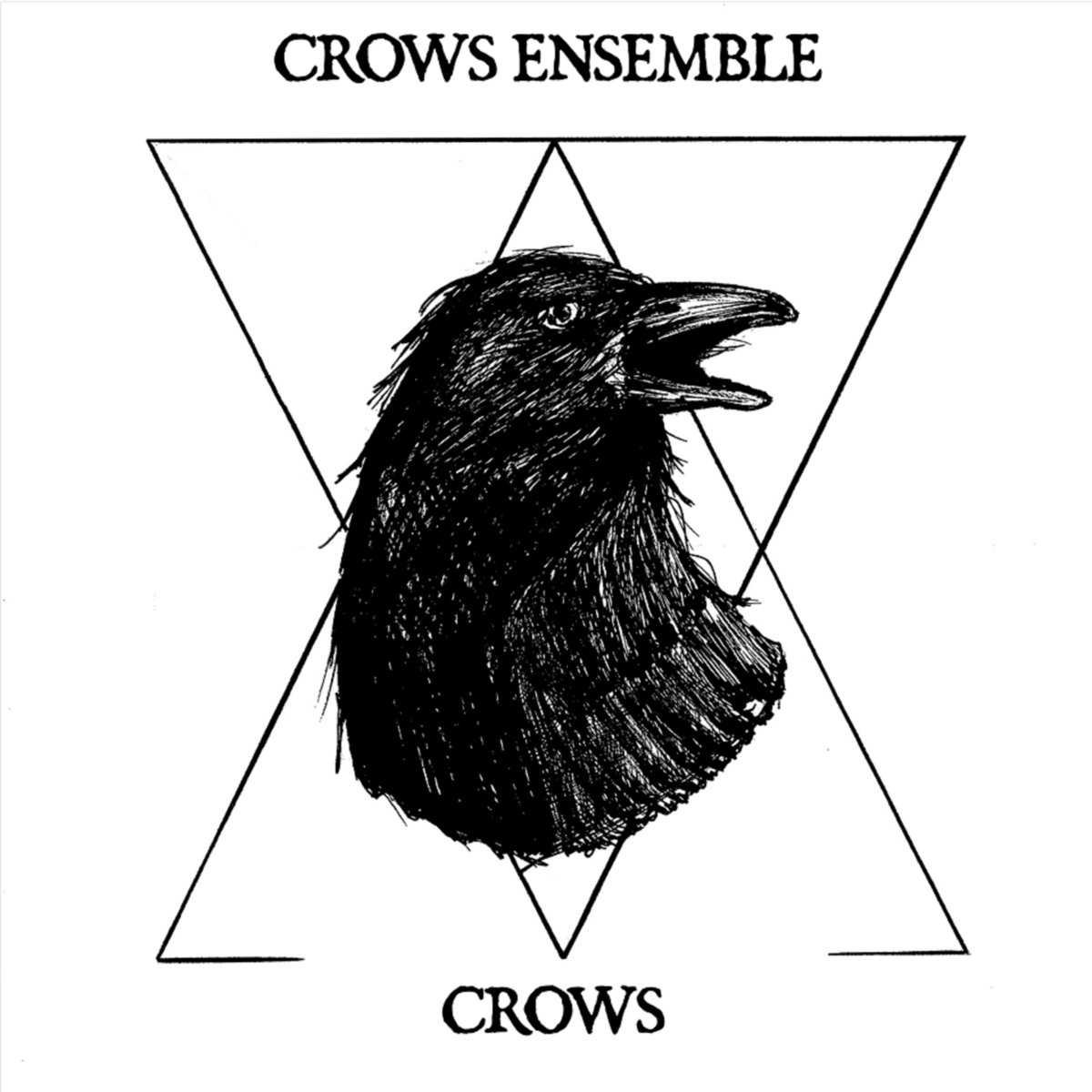 Crows | Crows Ensemble