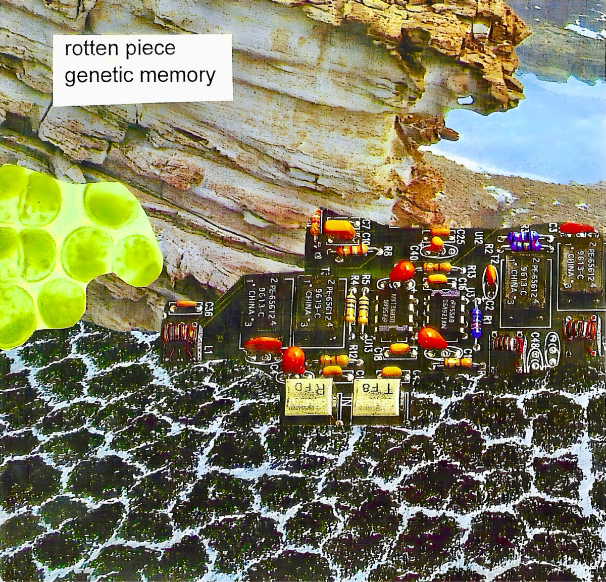 Genetic Memory | Rotten Piece