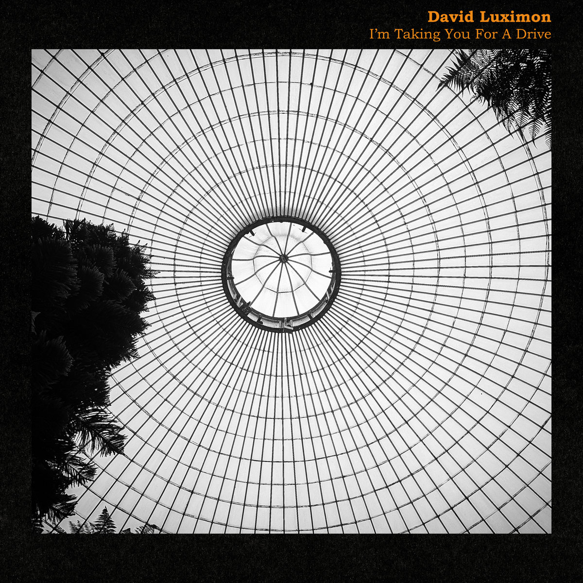 I'm Taking You For A Drive | David Luximon