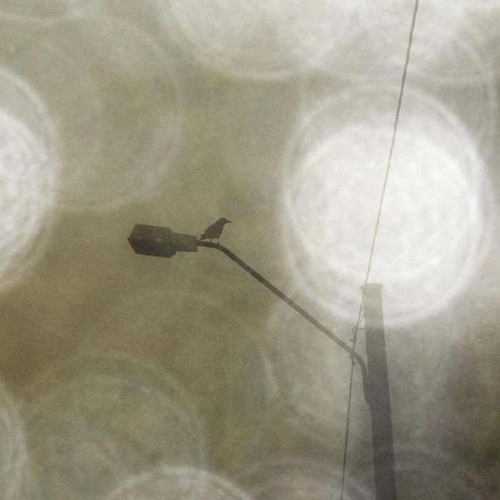 The Clearing/My Hiding Place | Jeff Stonehouse