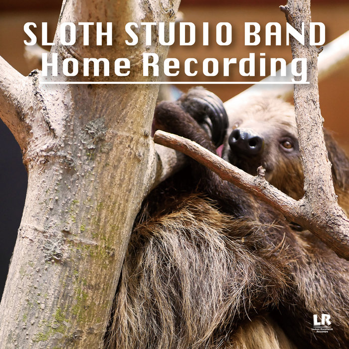 SLOTH STUDIO BAND Home Recording | すずきひろた | Large Ricefield Records
