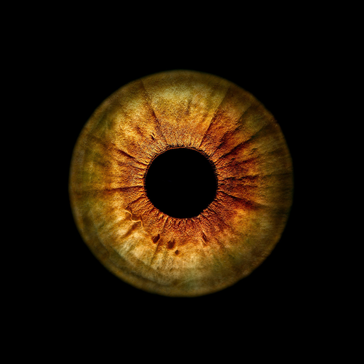 Unlucky Eyes Remixes | Slender Dan