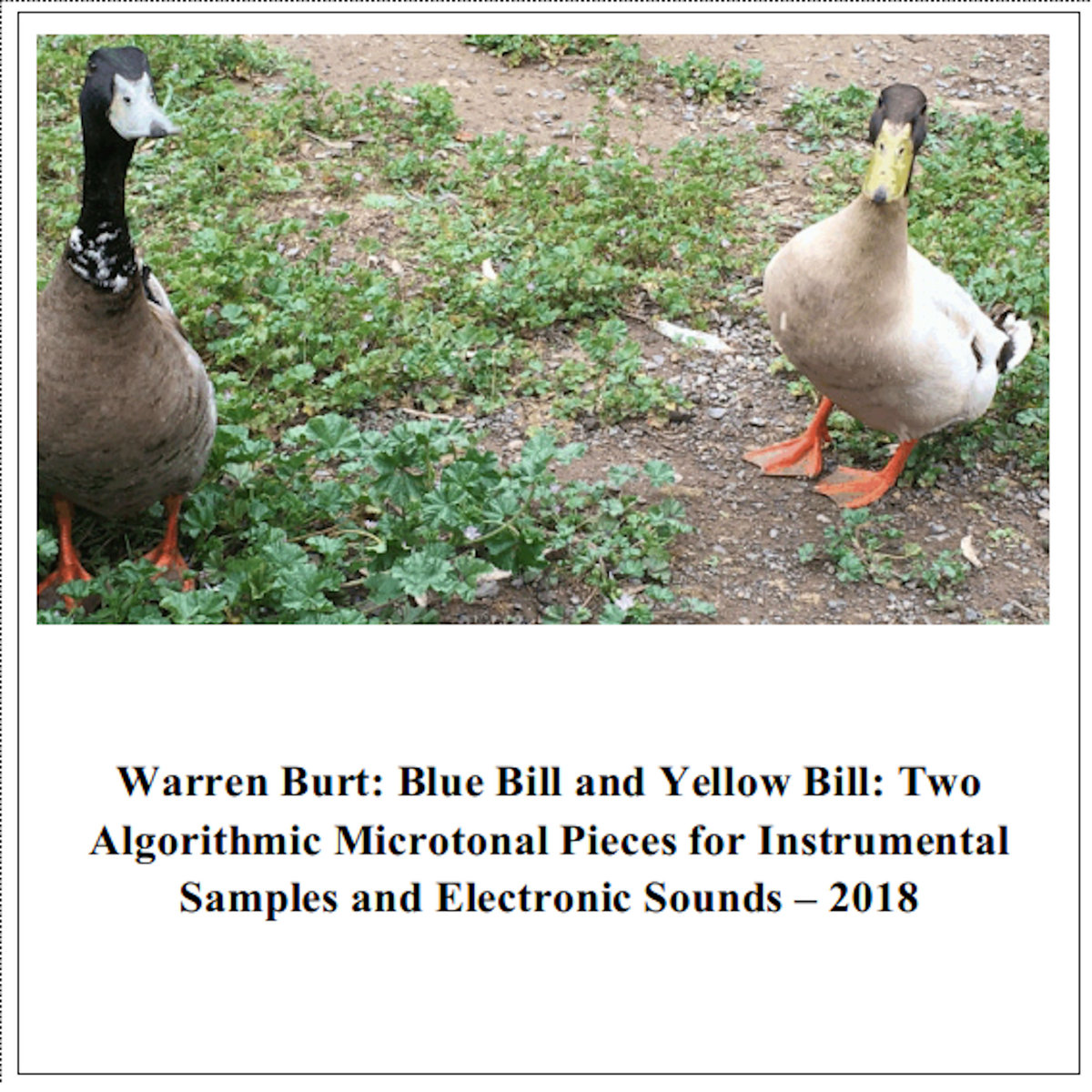 Blue Bill and Yellow Bill | Warren Burt