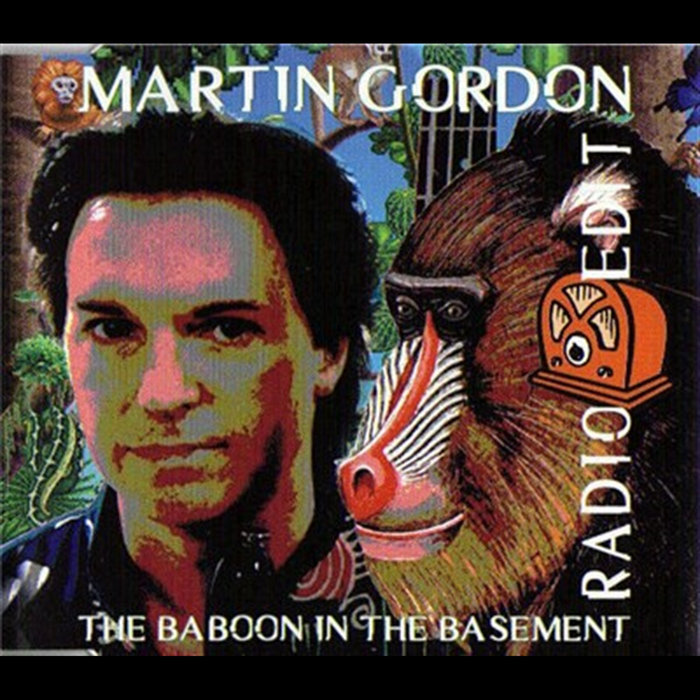 The Baboon In The Basement Radio Edit | Martin Gordon