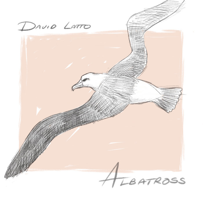 Albatross | David Latto