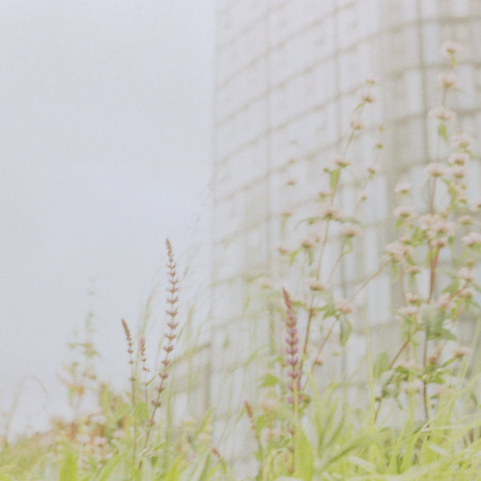 Steady | Tom Gunn Nash & Meg Furze | Tom Gunn Nash