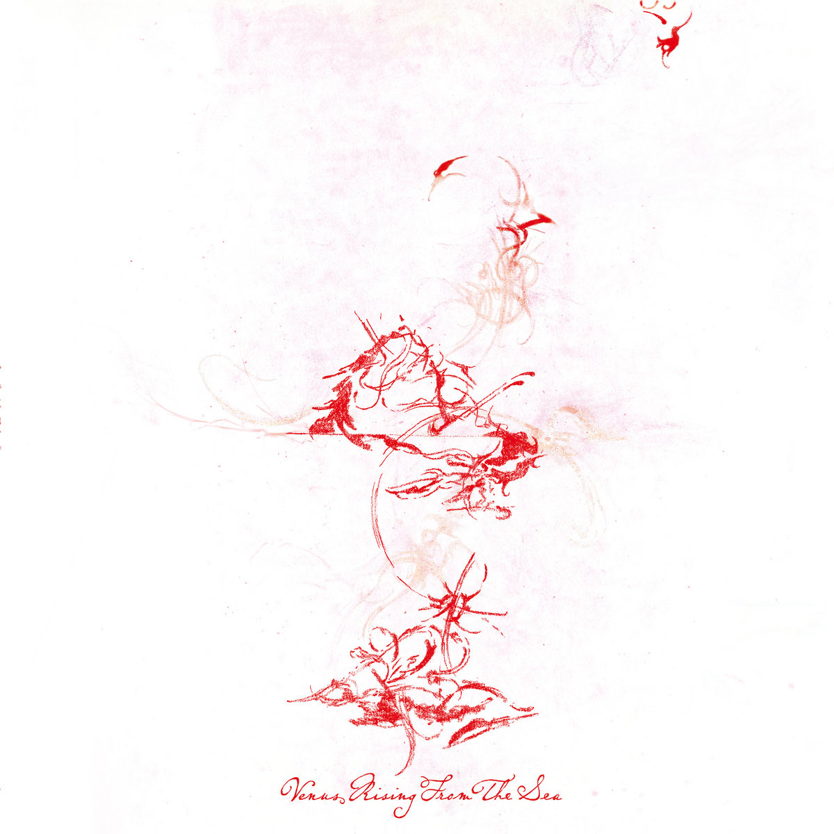 D-05: Venus Rising From The Sea | V/A | Doyenne