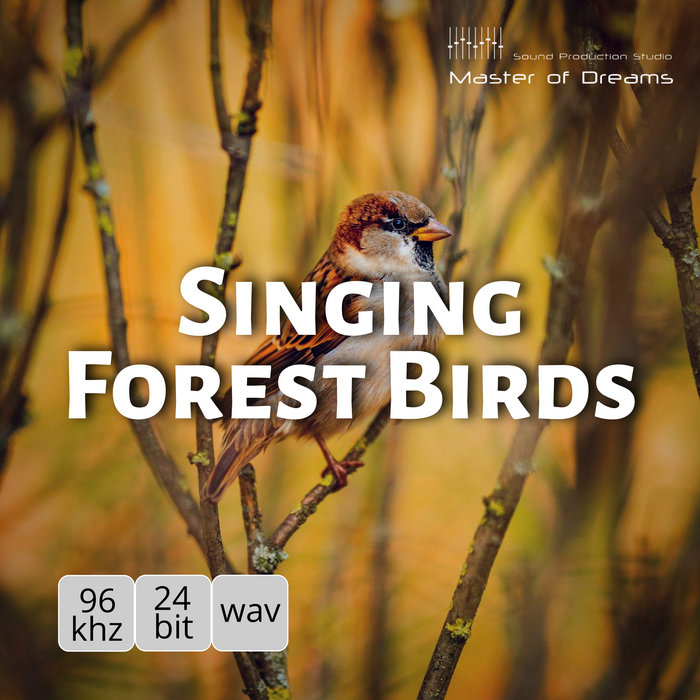 Singing Forest Birds [24Bit