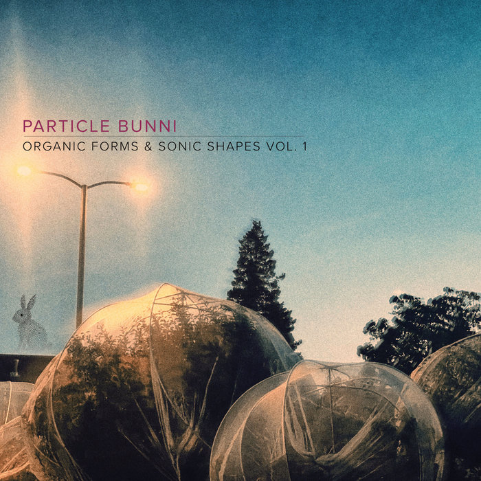 Organic Forms & Sonic Shapes Vol. 1 | Particle Bunni