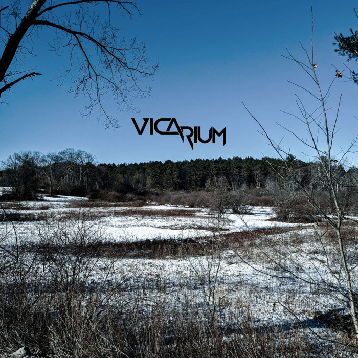 Demo | Vicarium