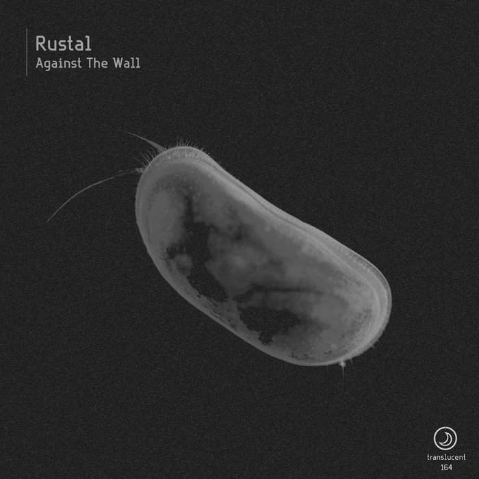 Against The Wall | Rustal | Translucent