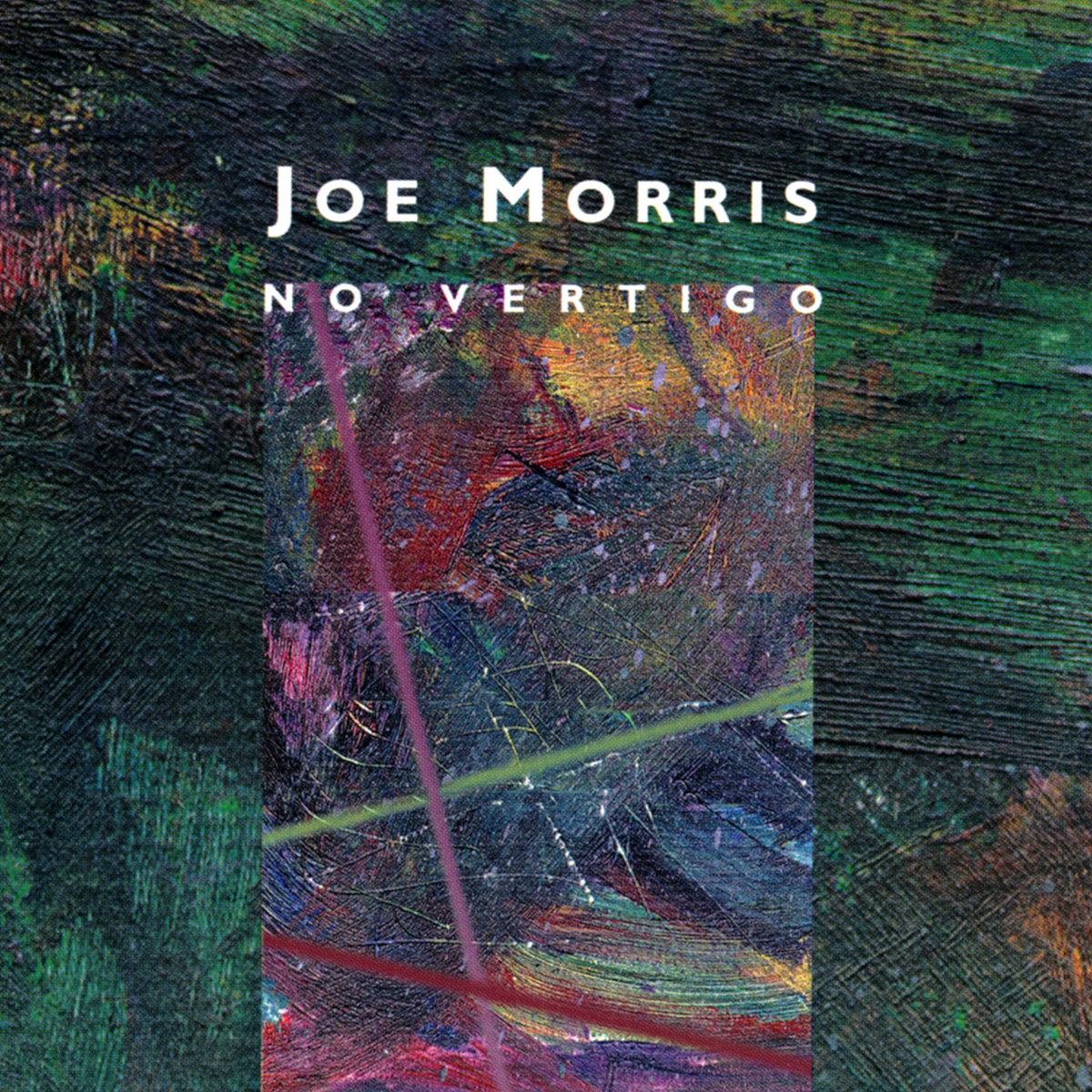 No Vertigo | Joe Morris | Leo Records