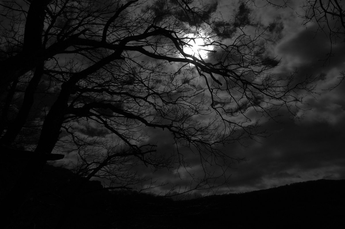 Zombies | Capitalism #1