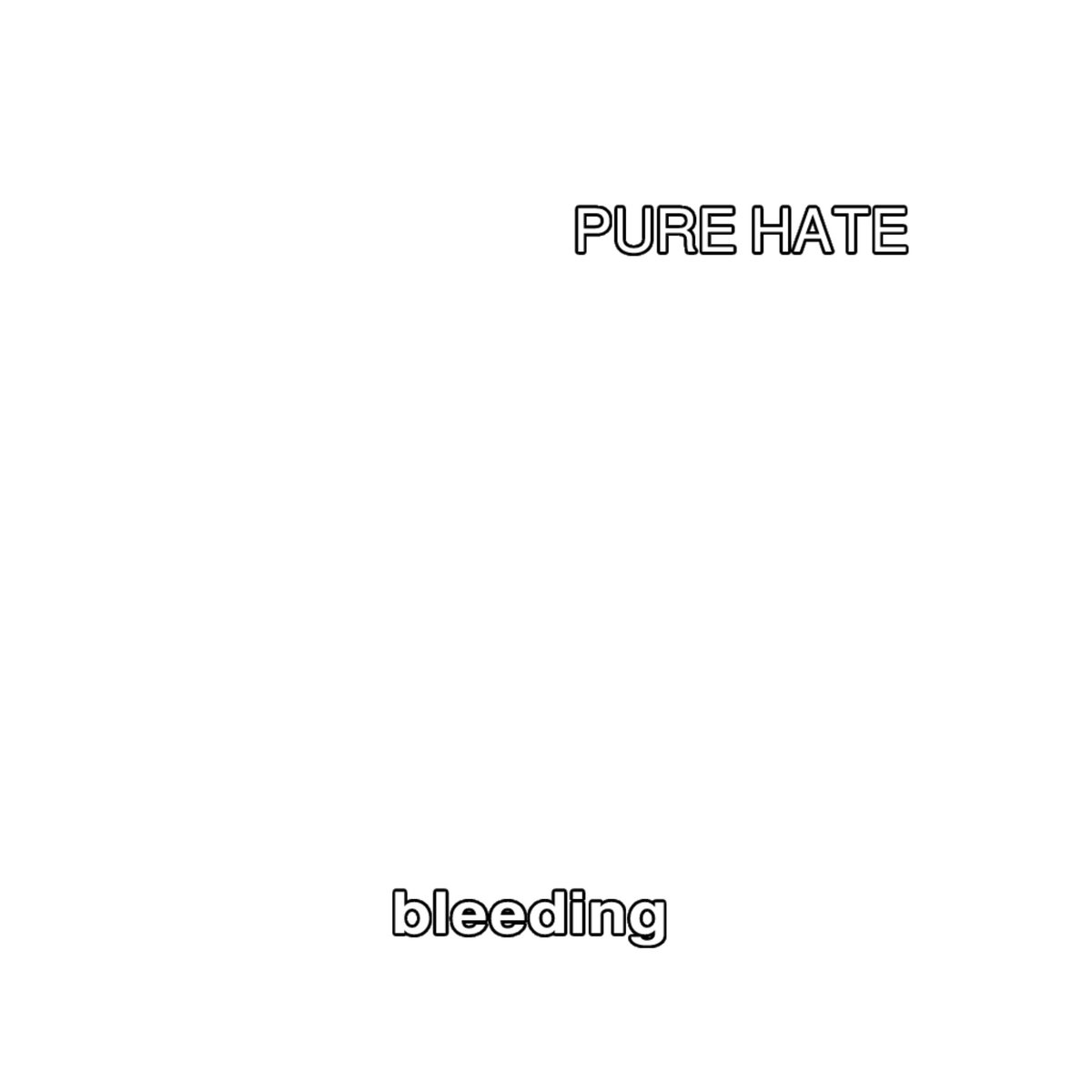 Pure Hate | Bleeding | Unknown Artist
