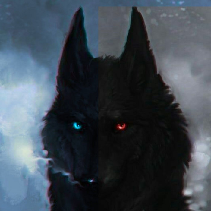 Hunter Talbot | NixxO