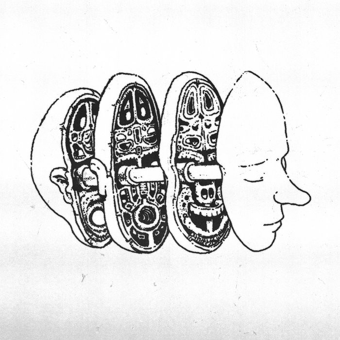 Echoes01 | Muskatt