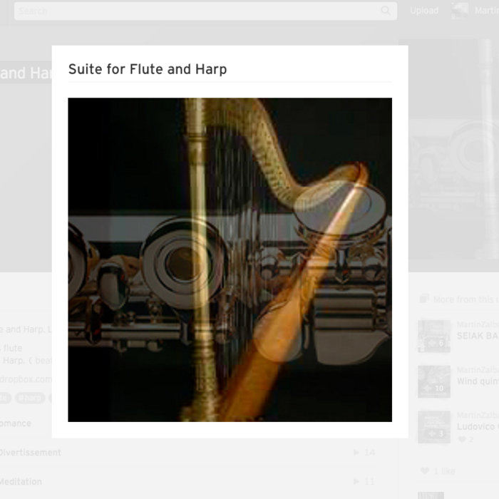 Suite for flute & Harp | Martin Zalba
