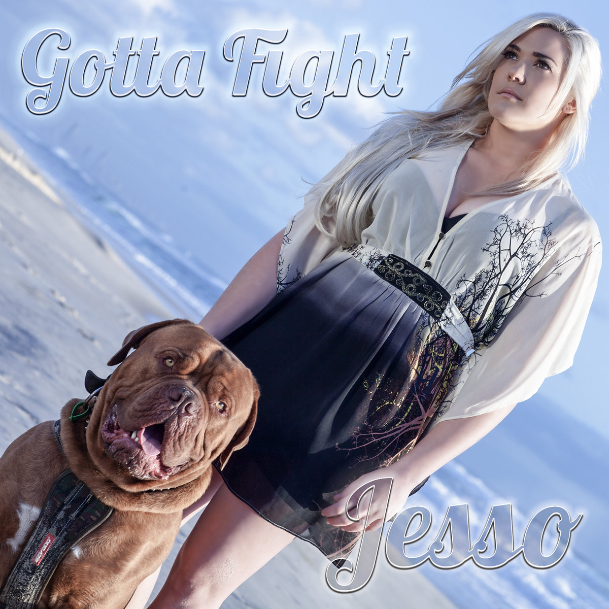 Gotta Fight - Album | Jesso