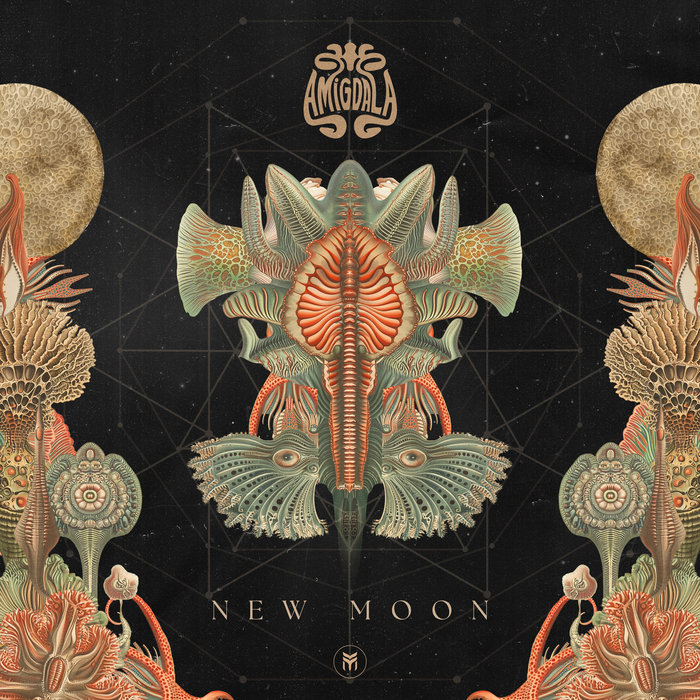 New Moon | Amigdala (Future Music Records) | Future Music Records