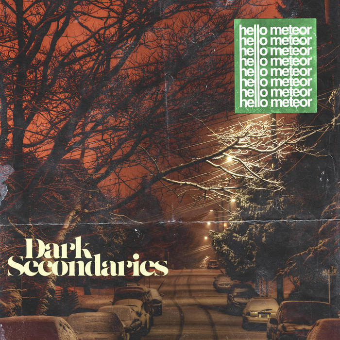 Say's Phoebe | Hello Meteor