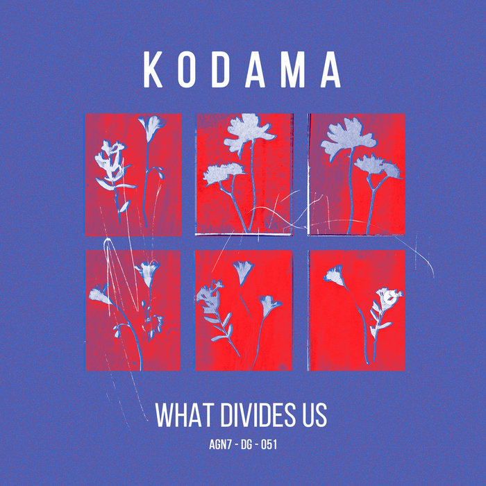 What Divides Us | Kodama | AGN7 Audio