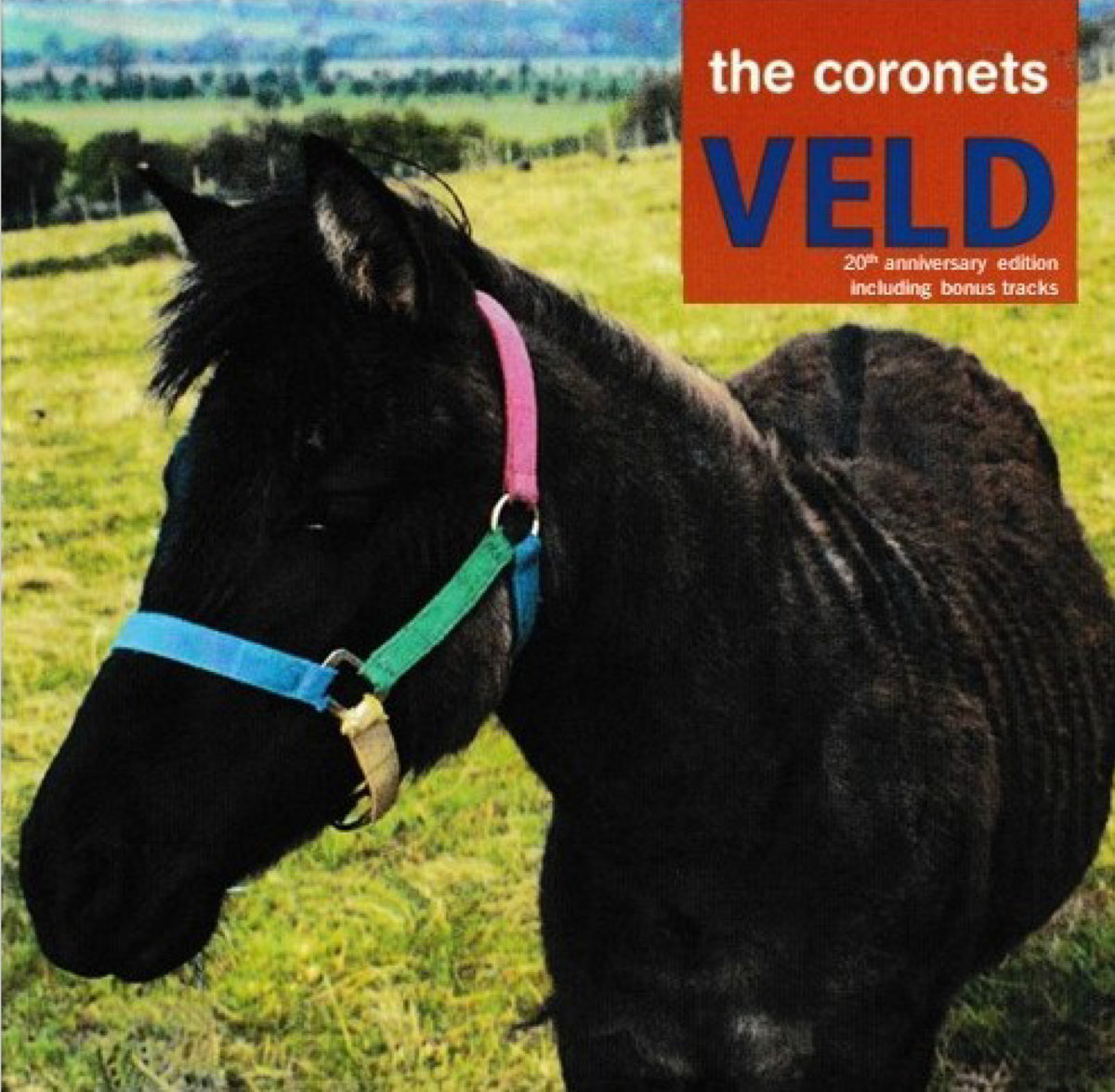 Veld: 20th Anniversary Edition | The Coronets | Harriet Records