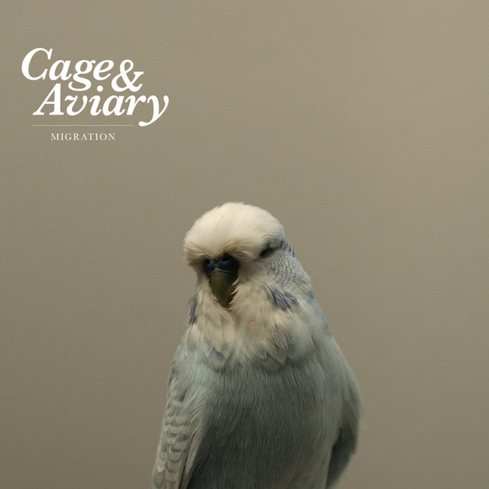 Migration | Cage & Aviary | Internasjonal