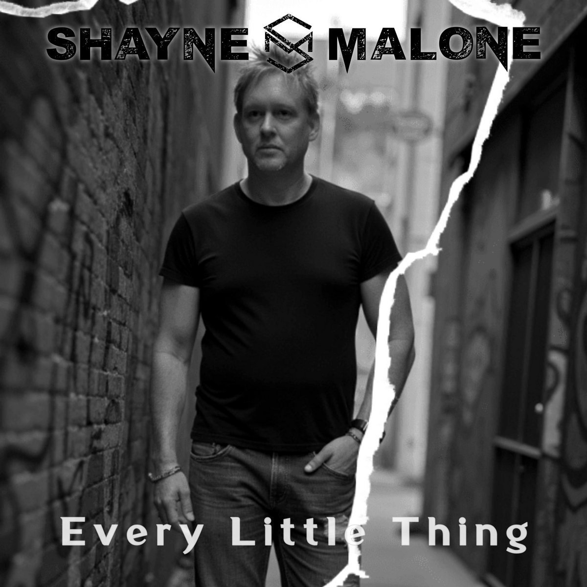 Every Little Thing | Shayne Malone