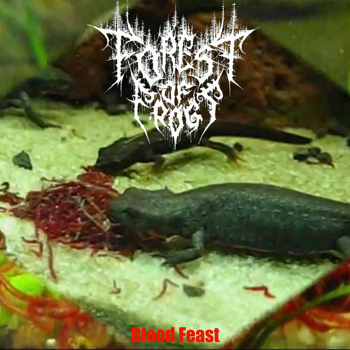 Blood Feast | Forest of Frogs