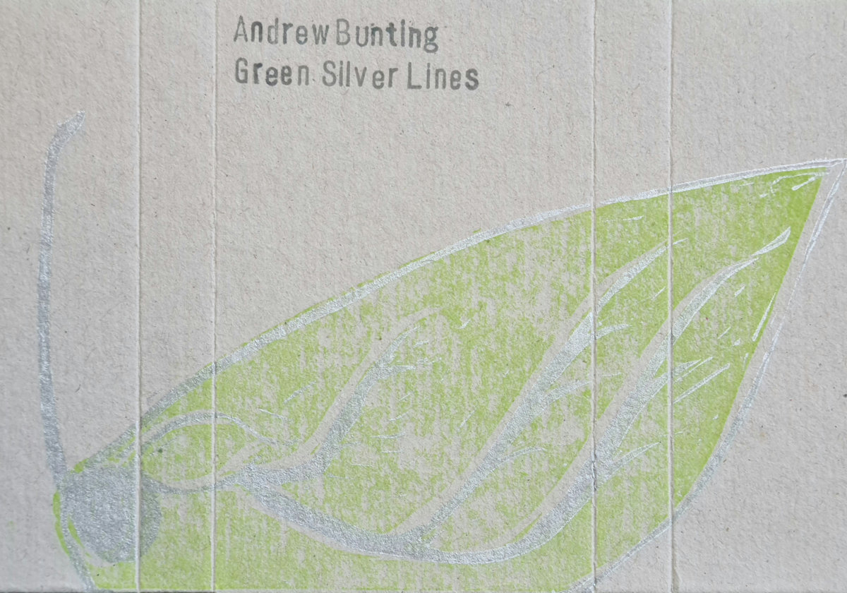 Green Silver Lines | Andrew Bunting