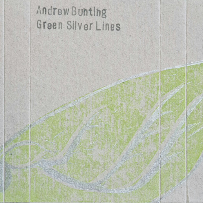 Green Silver Lines | Andrew Bunting