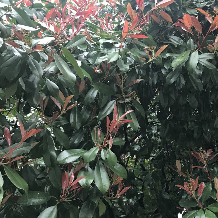 zero stakes and everything will change | Barraco Barner