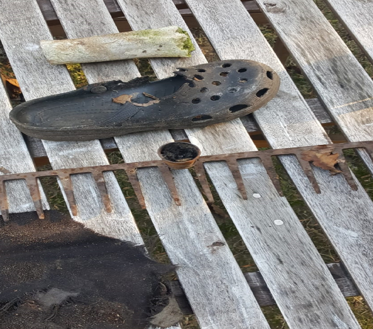 Old Rake, Bone and Shoe | Sore Eye Shamble